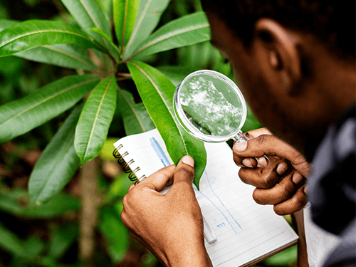 Useful Tutoring Resources | Masterpiece Academy